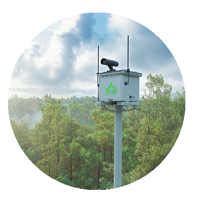 Empowering Smart Sustainability